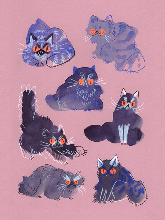 Homepage - BUTTERCAT PARADOX