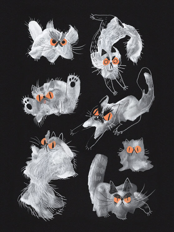 Homepage - BUTTERCAT PARADOX