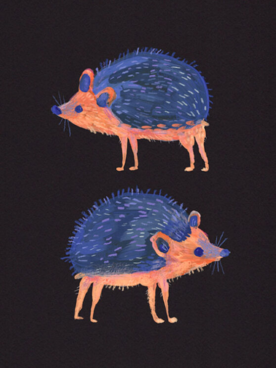 Hedgehogs - Buttercat Paradox
